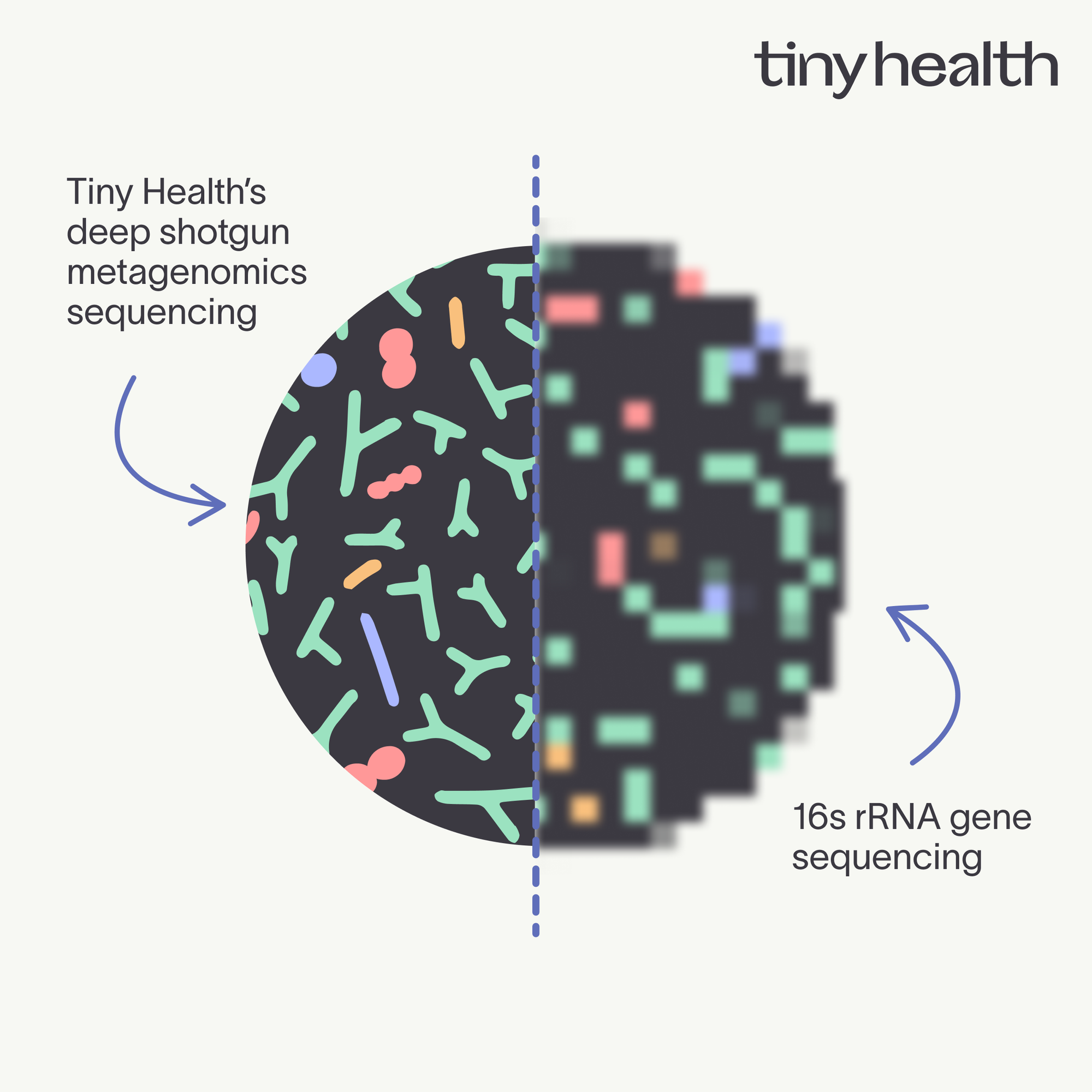What are the different sequencing methods? And why should I care? – Tiny Health